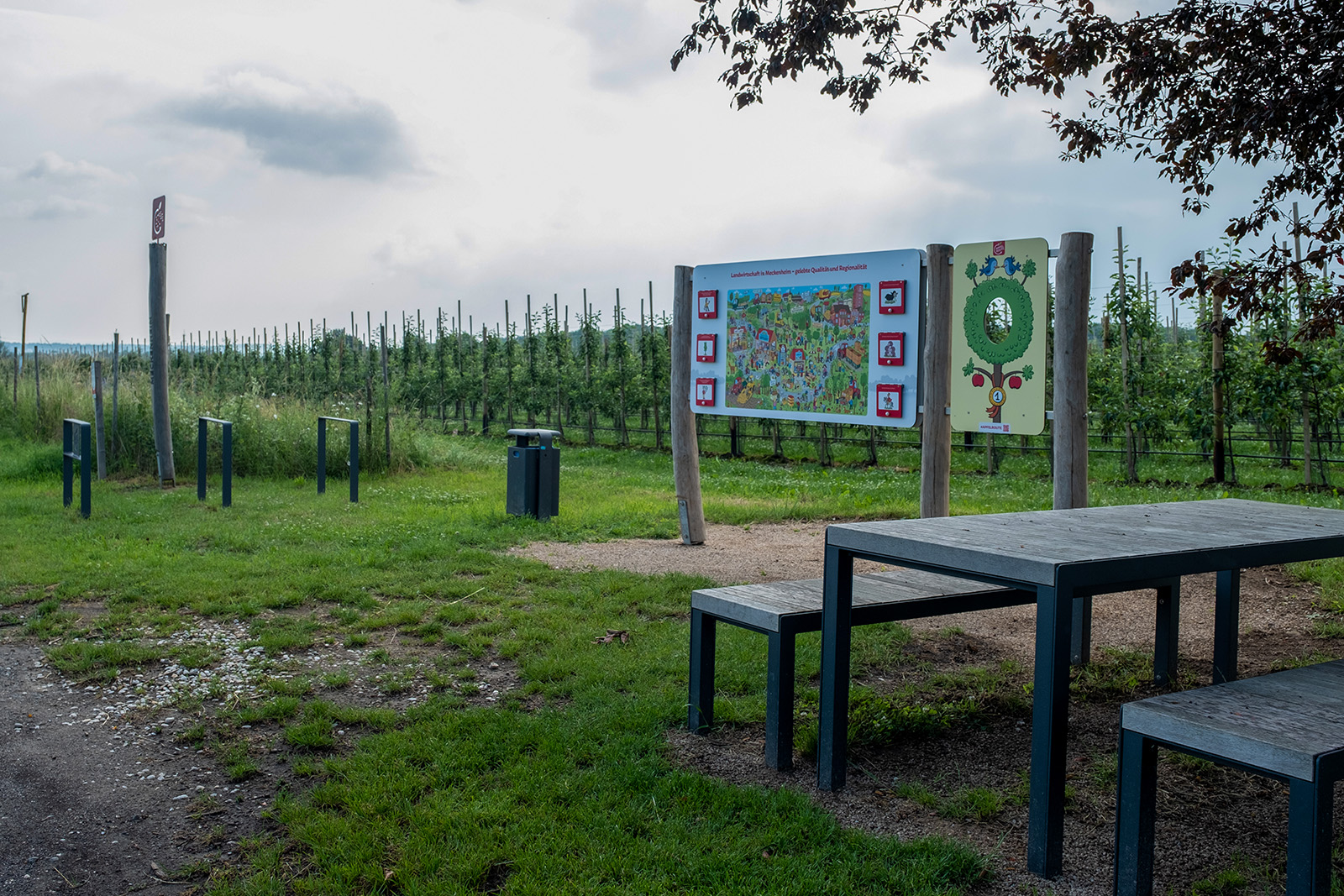 Erlebnisstation | Obst in Meckenheim - Die rheinische Apfelroute